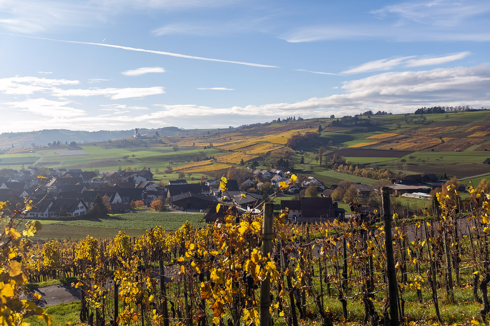 Markus Ruch: Pinot Noir Hallau Chölle 2022 – Wein für Wein